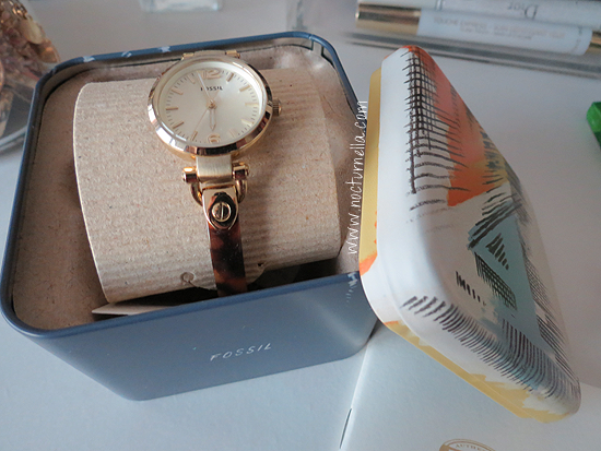 Fossil & Shade Station - NOCTURNELLA