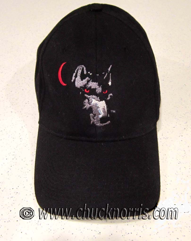 The Official Chuck Norris Blog: The Cap I wore in the Expendables 2