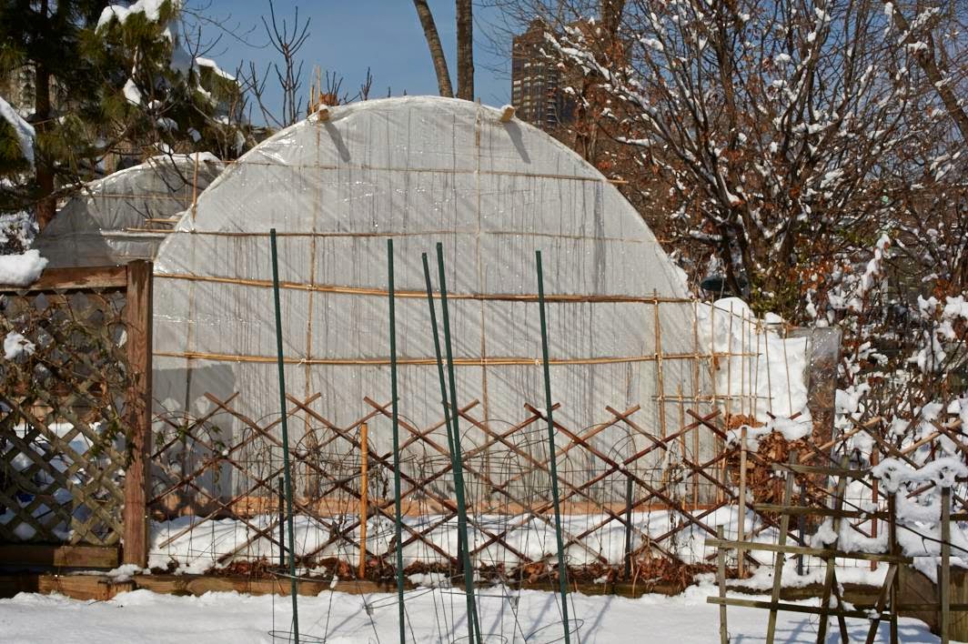 Roosevelt Islander Online: Solar Technology, Japanese Know How And ...