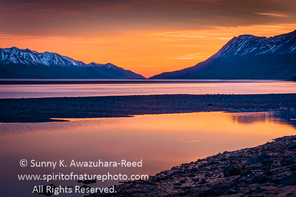 Sunny in Wilderness: Sunset Reflections - Kenai Mountains at Cook Inlet ...