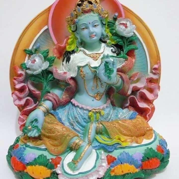TARA: TARA VERDE