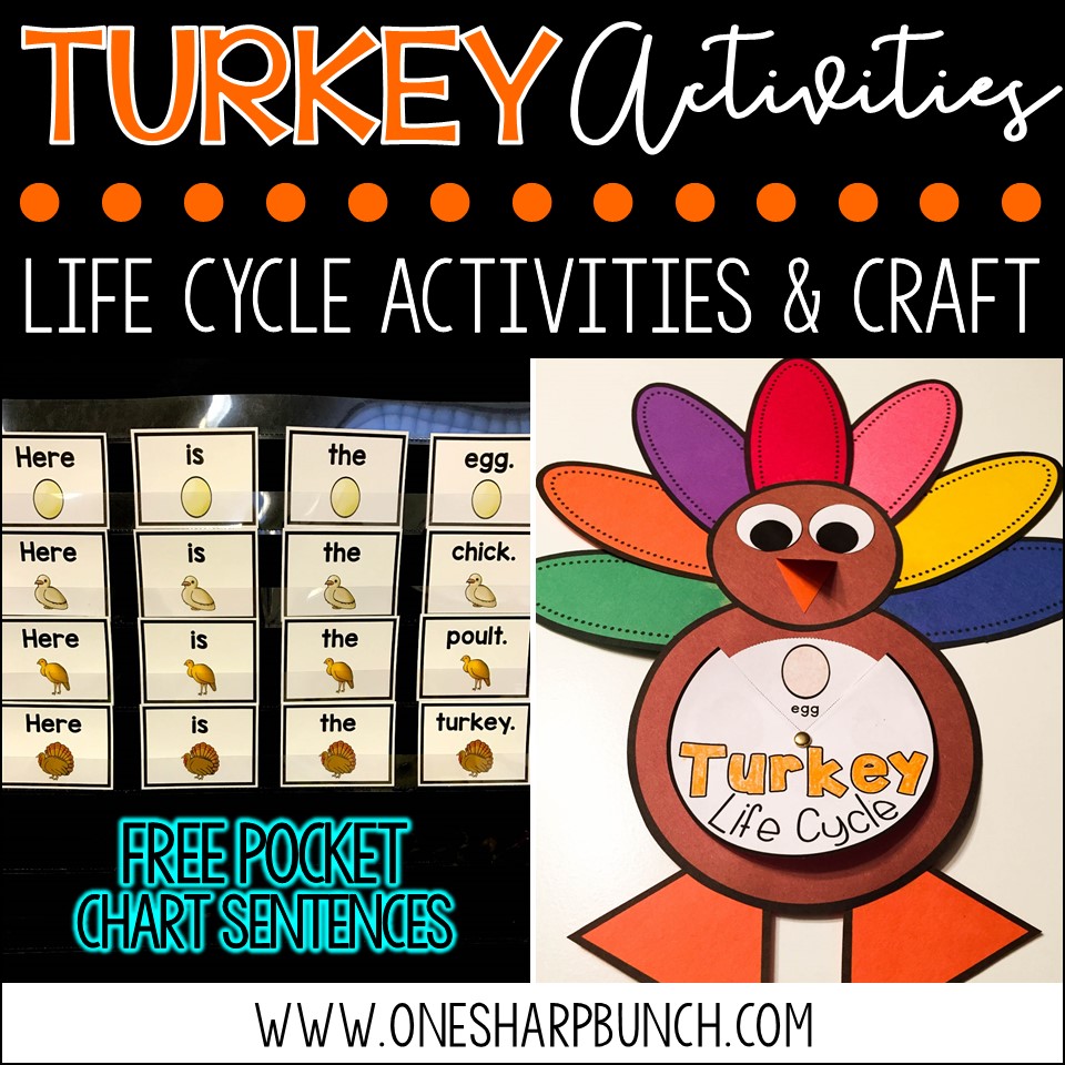 Turkey Life Cycle Activities - One Sharp Bunch