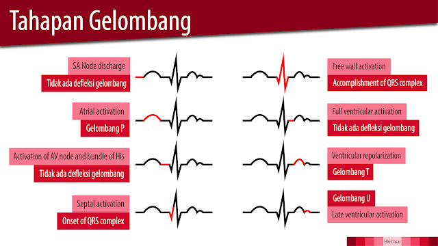 EKG Dasar; Workshop EKG | Dokter Alfa : Belajar Kedokteran