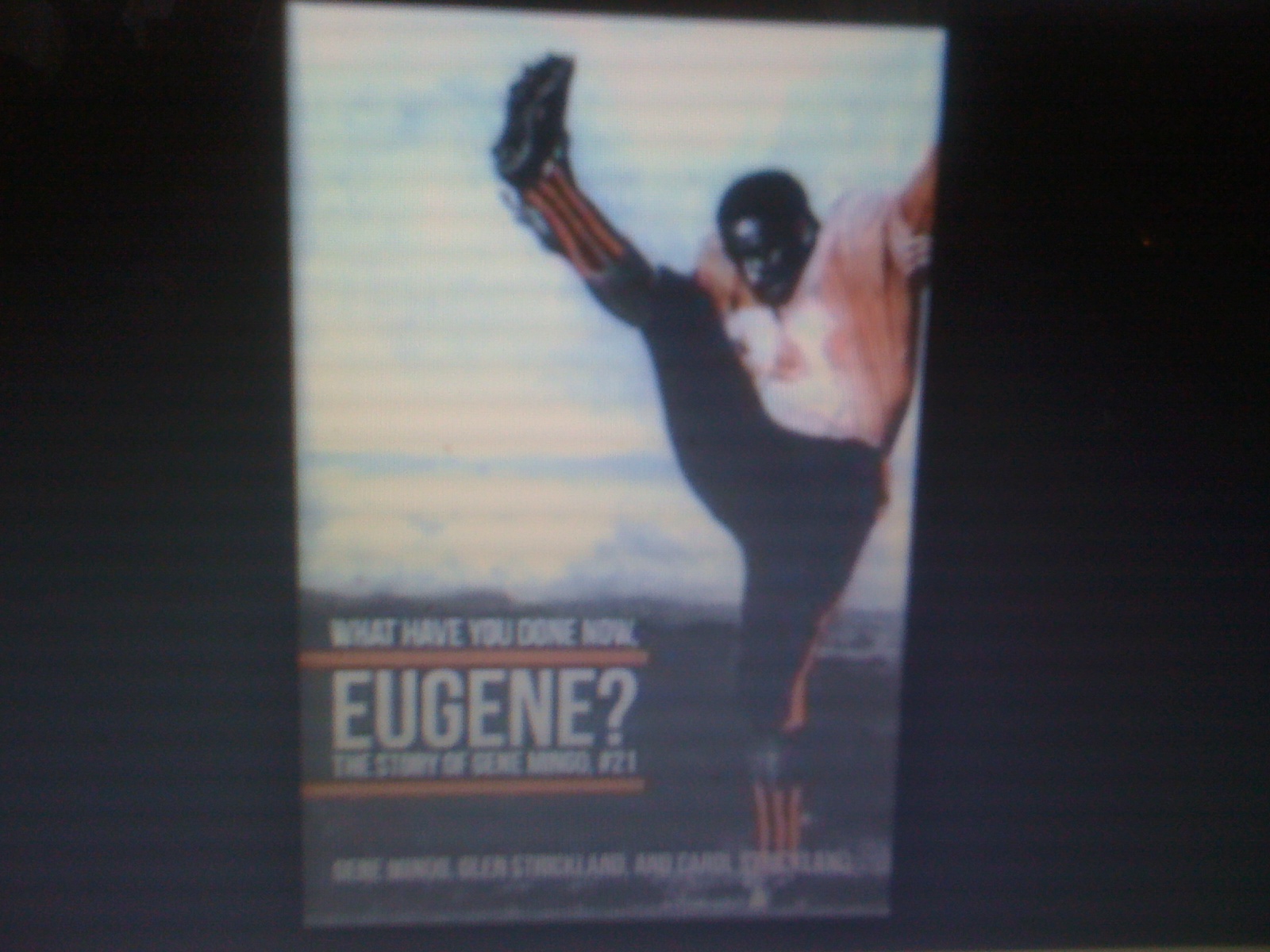 THE BLACK SOCIAL HISTORY:: BLACK SOCIAL HISTORY : AFRICAN AMERICAN ...