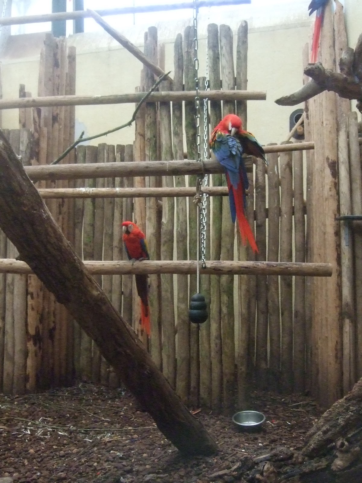 Claudjes Blog: Een dagje naar Ouwehands Dierenpark