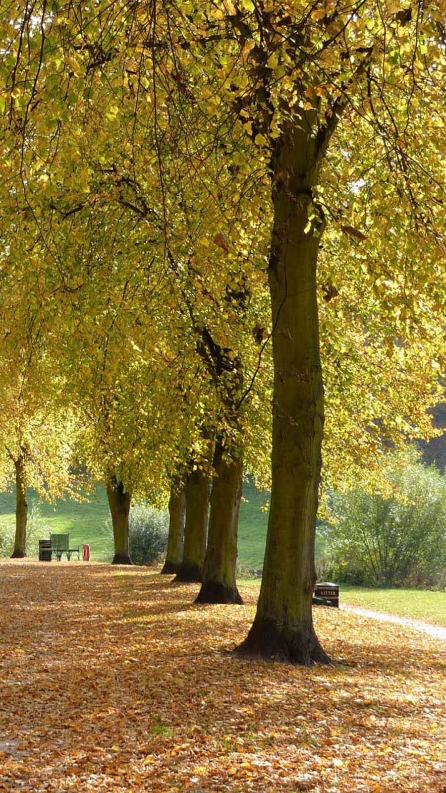 Fondo android pack 139