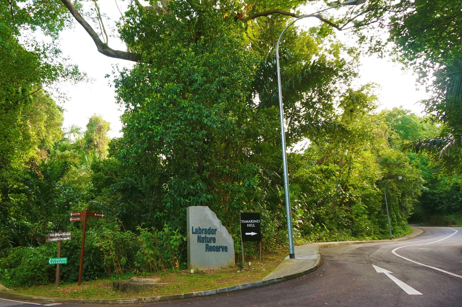 新加坡自然景区：拉柏多自然保护区看海（Labrador Nature Reserve）