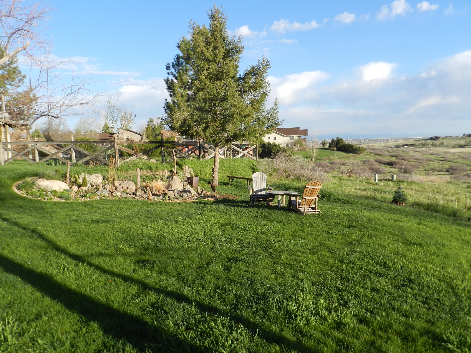My Wishing Rock: Gardening in open prairie land.......