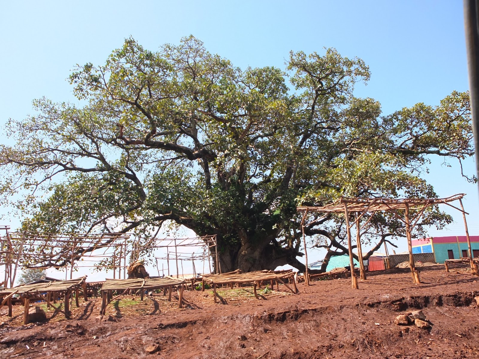 In the middle of somewhere