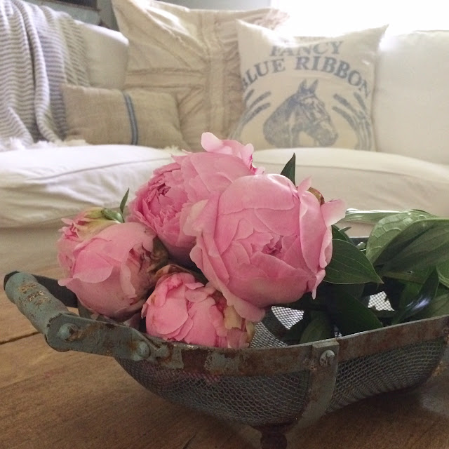 Little Farmstead: Farmhouse Style: A little touch of pink...