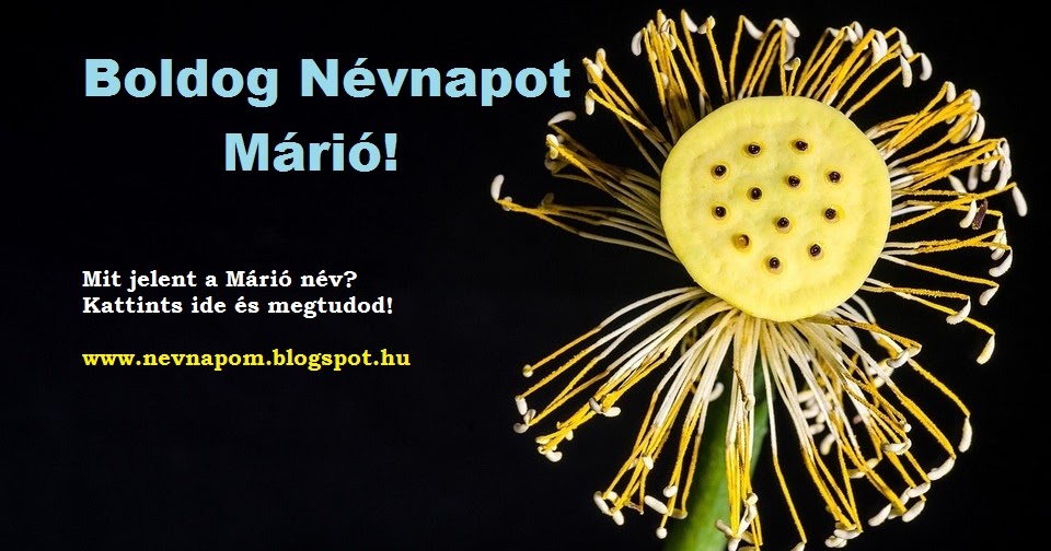 Milyen névnap van ma?: Márió
