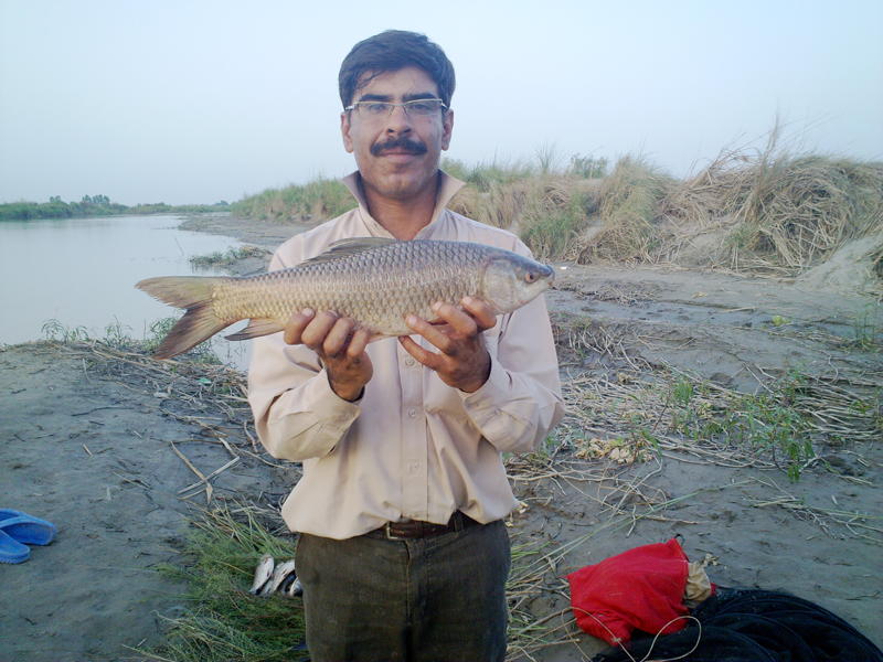 Fishing In Pakistan: Fishing in Pakistan (Near D G Khan) 2010