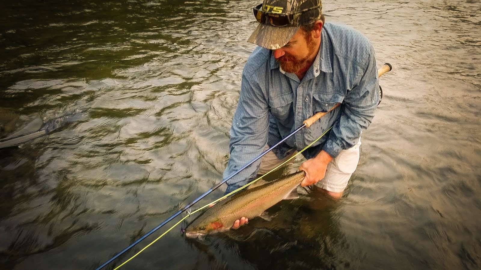 Rogue River and Southern Oregon Fly Fishing Guide: Rogue River Report ...