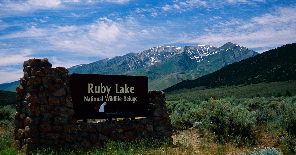 One Day in America: Nevada Beyond the Neon: Ruby Lake National Wildlife ...