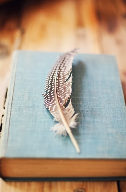 Roses and Rust: The Aesthete's Alphabet - F is for Feathers