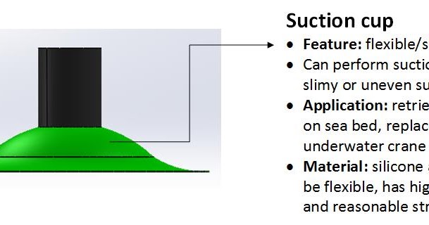 Engineering and Biomimetics: Components of Flexible Suction Cup