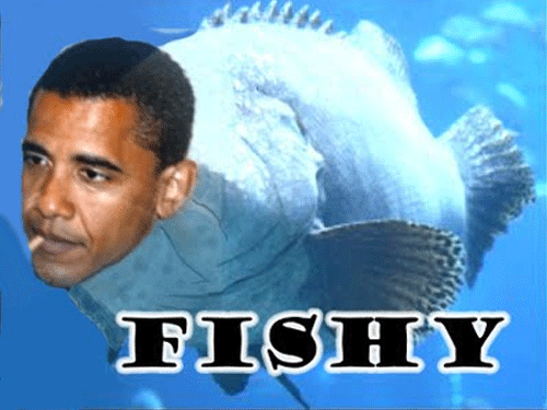 A Fish Named Obama! ~ Information portal