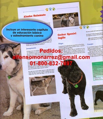 LIBROS DVDS CD-ROMS ENCICLOPEDIAS EDUCACIÓN PREESCOLAR PRIMARIA ...