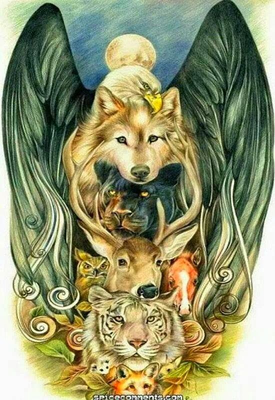 Medicina Antroposófica e Práticas Integrativas e Complementares ...