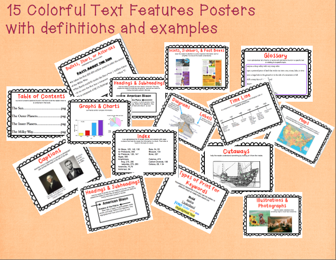 Text Features & Informational Text - Beach Sand
