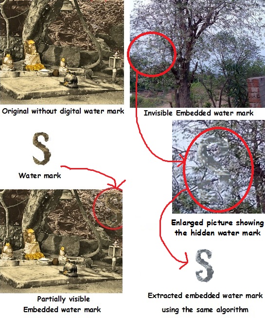 Students Guide : Digital Water Marking