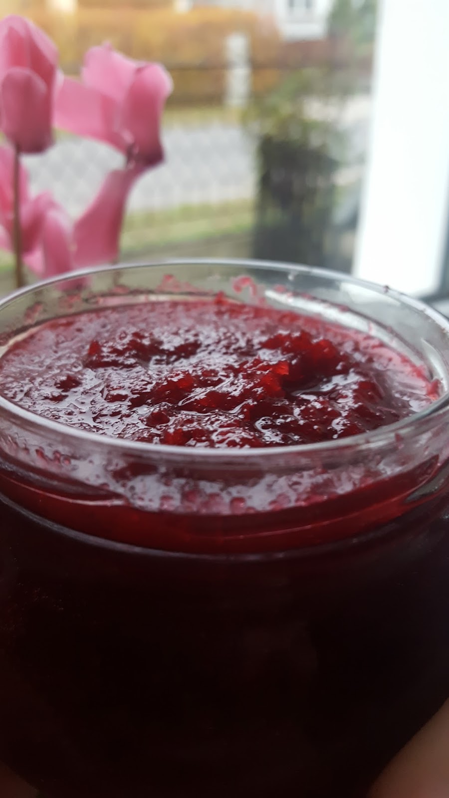 Jurgitos skanumai...: Spanguolės su medumi