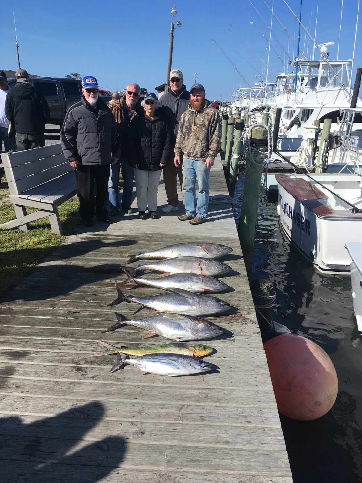 Outer Banks Fishing Charter: Malone Group with Yellowfin Tuna and a Dolphin