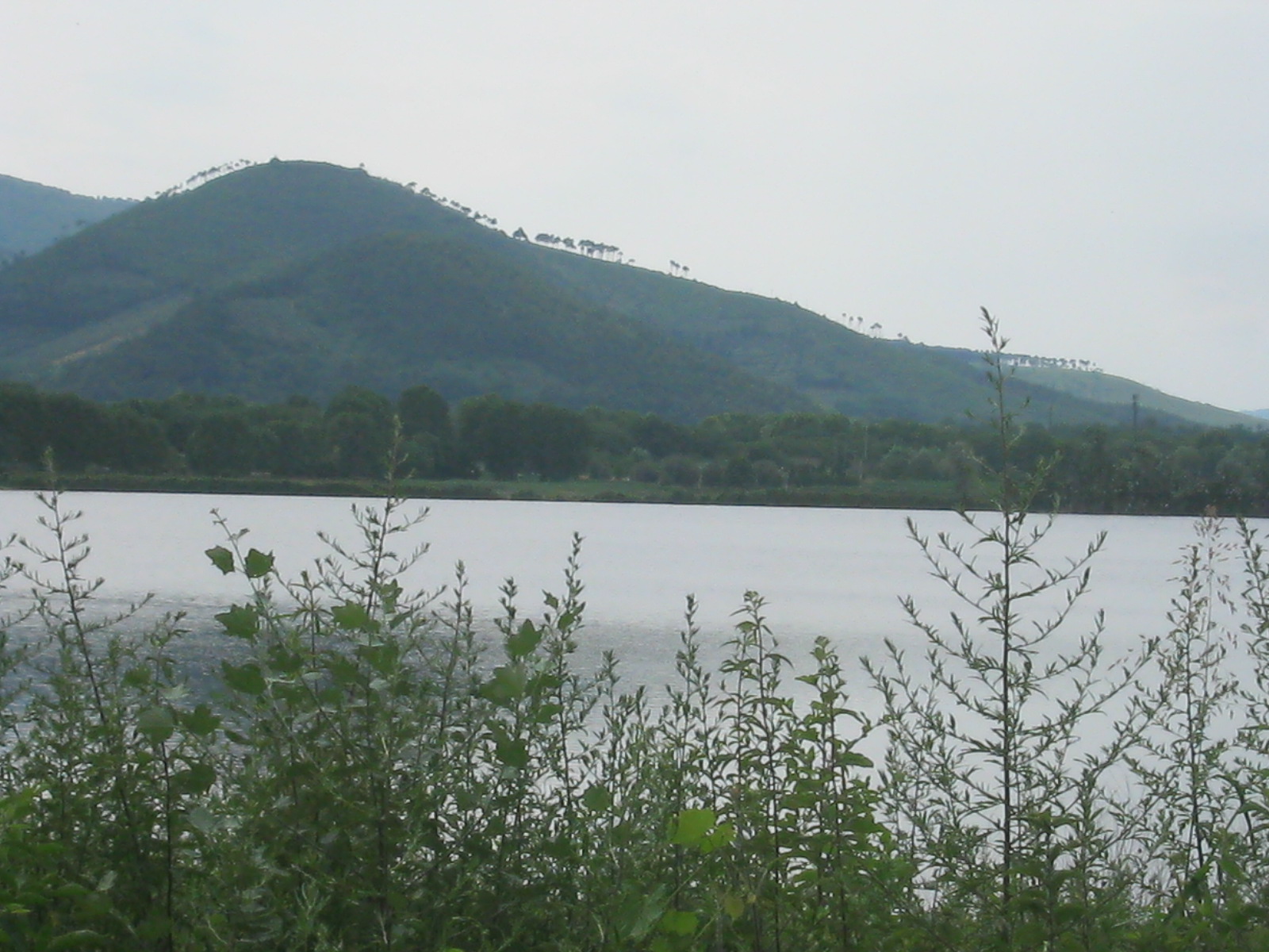L'alba sulla collina: PADULE DI BIENTINA : fra natura e memoria