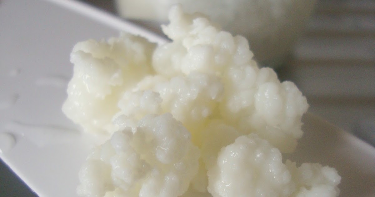 Ogni riccio un pasticcio - Blog di cucina: Come fare il kefir in casa ...