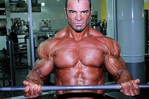 CONHECENDO O DOGGCRAPP TRAINING OU DCT – PARTE 4