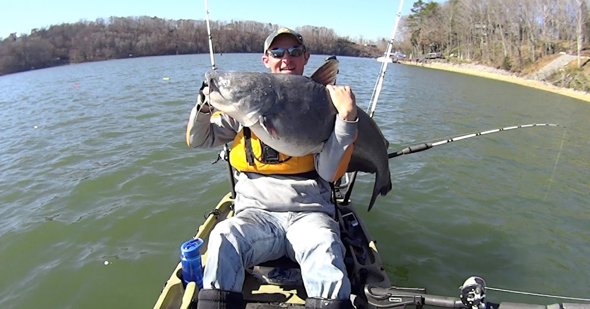 About - Kayak Catfish