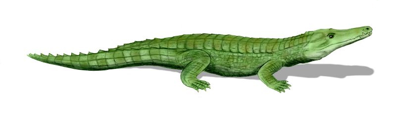 Los animales en la prehistoria: julio 2013