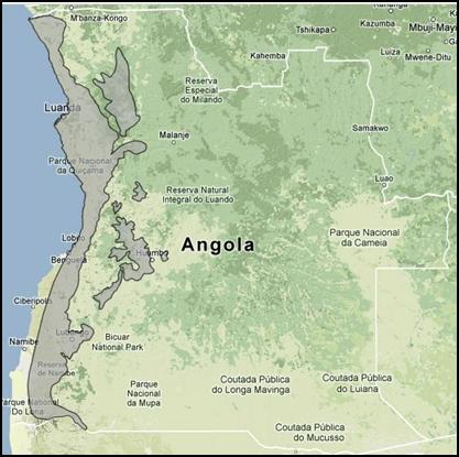 Kumbira Forest Project: Saving Angola's Endemic Birds: Scarp Forest
