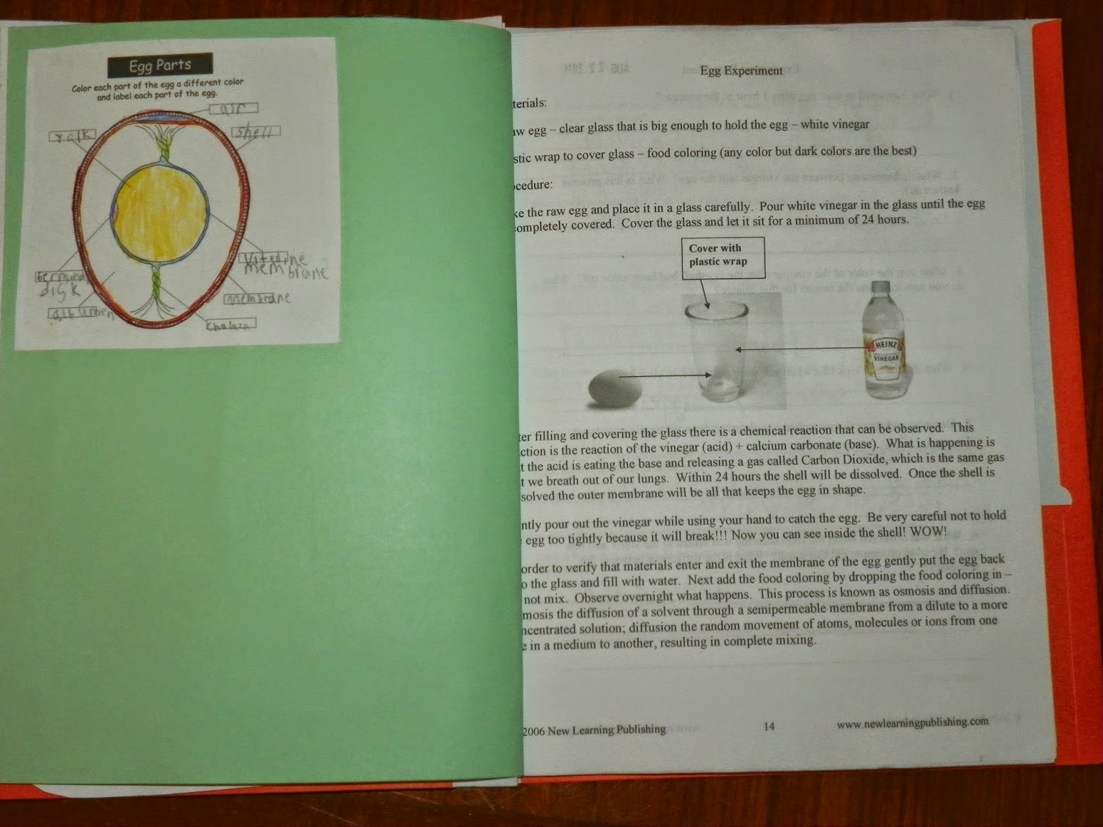 The Little Sewing Shop: Bird Lapbook and Unit Study (August-Sept 2014)