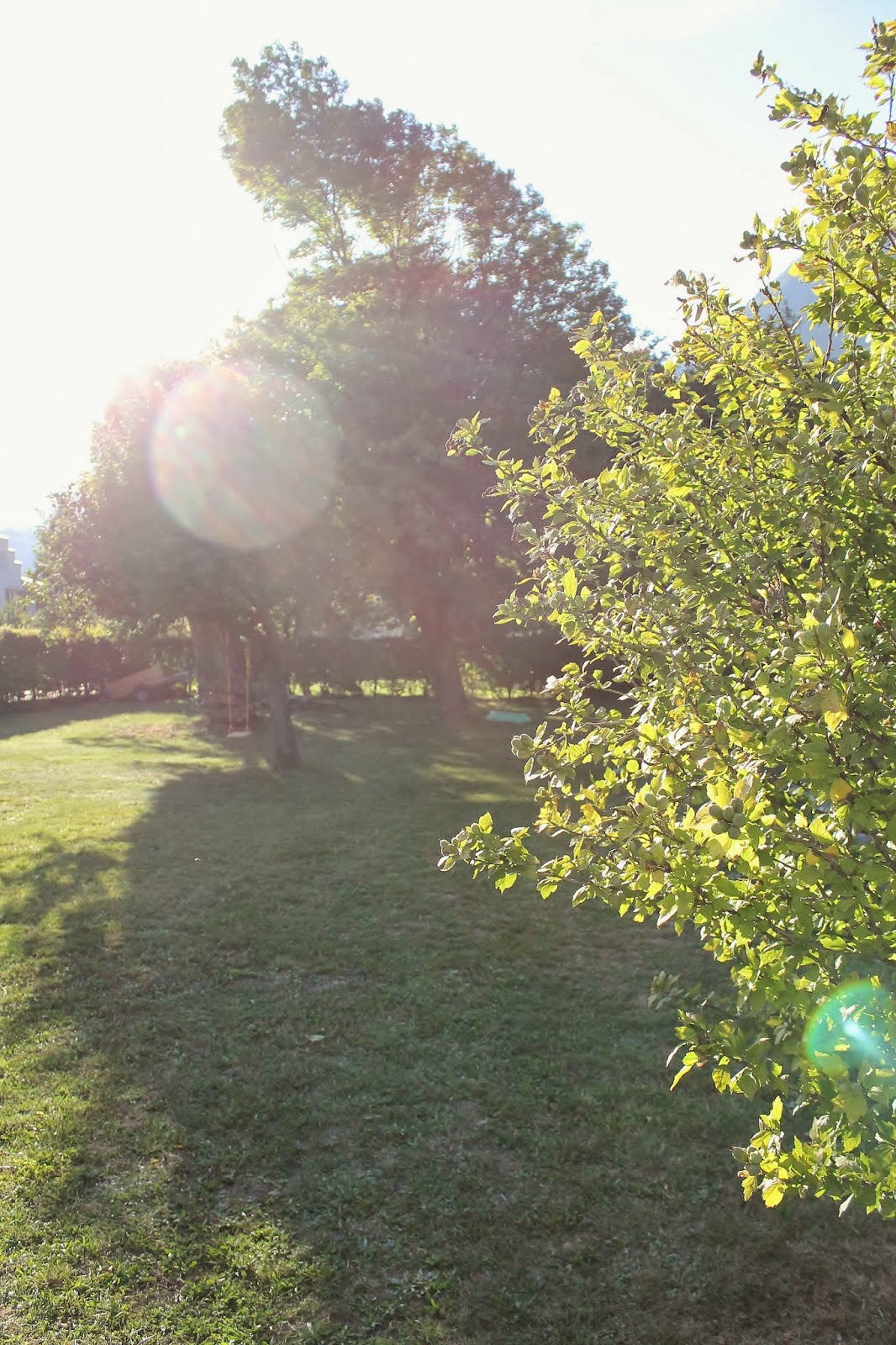 C'est la vie: { Basic Grey Persimmon layout }