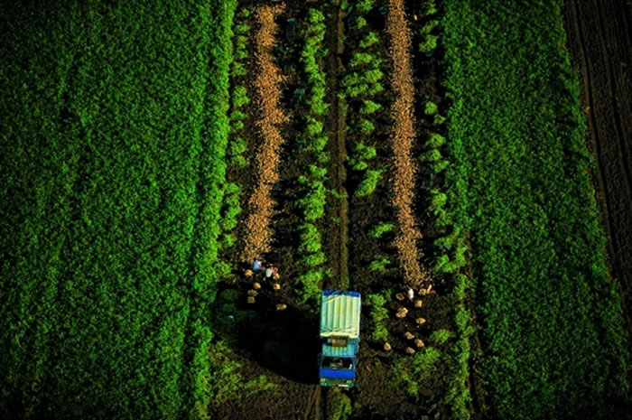 The plain of Mitidja | Algeria-guide