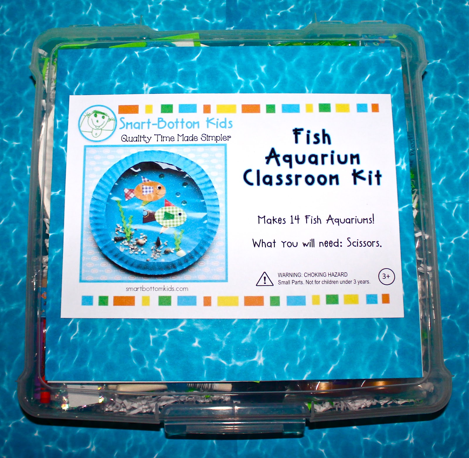 Best Fish For Classroom Pet at Antonio Christie blog