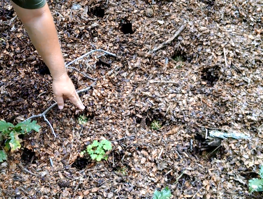 Sword Of Survival: Clamping