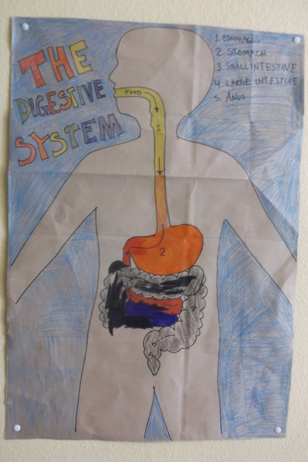 Lighthouse Family Schoolin': The Digestive System ~Part One!