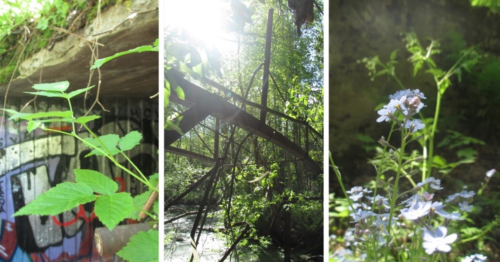 Lindan maailma: Epilän kylpylän raunioita ihmettelemässä