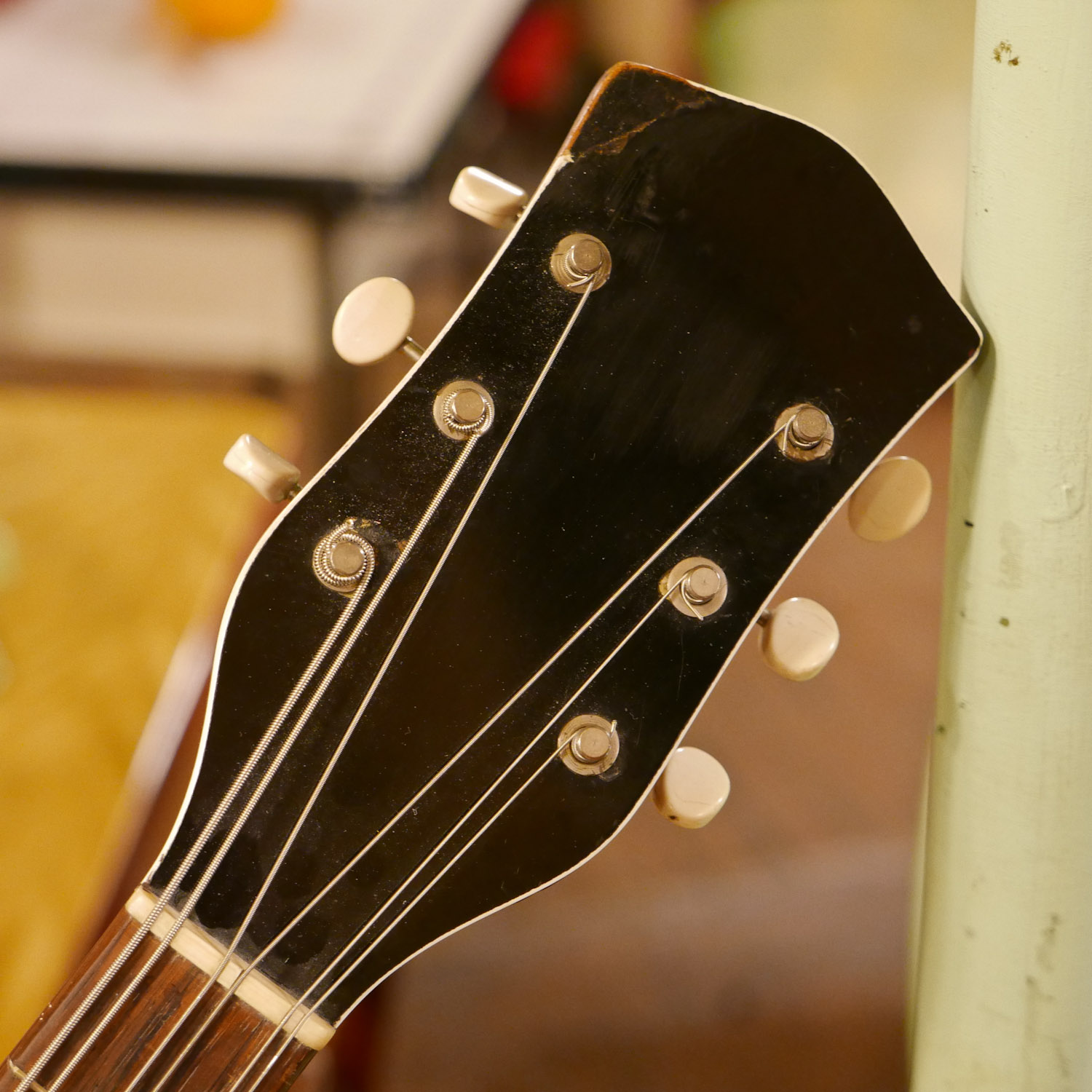 1950s National New Yorker Archtop Electric Mandocello Conversion