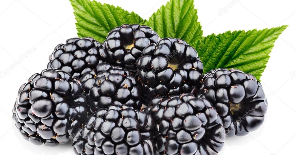 PROPIEDADES Y BENEFICIOS DE LAS MORAS. - LA RECETA DE MARY