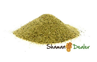 San pedro powder (Echinopsis pachanoi) and dried peruvian torch ...