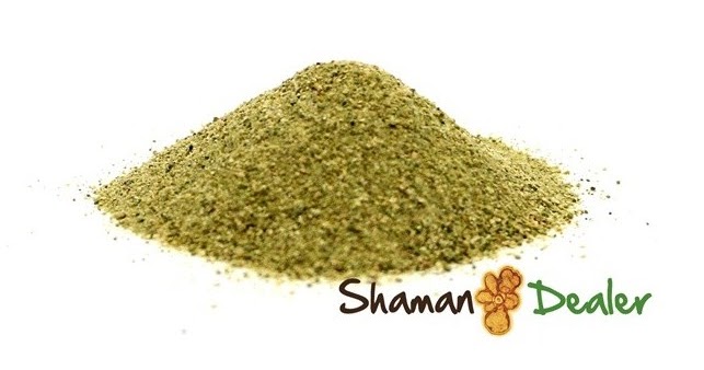 San pedro powder (Echinopsis pachanoi) and dried peruvian torch ...