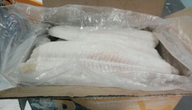 Frozen Milkfish, Buy Frozen Milkfish, Frozen Milkfish Importer ...