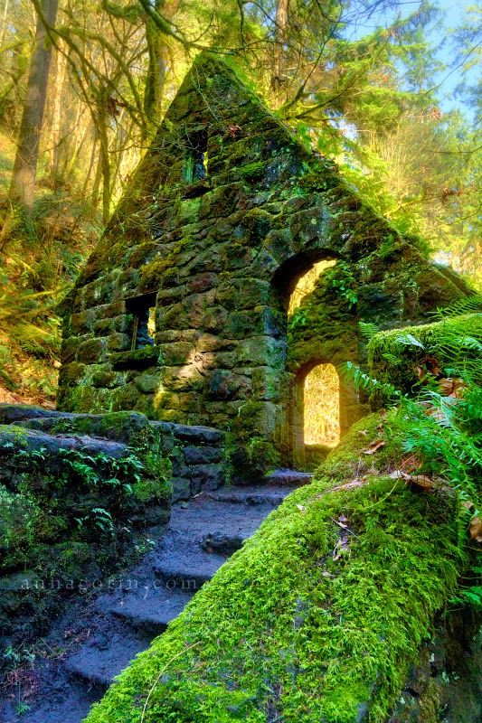 Ivy House, Portland, Oregon | Photography Pins