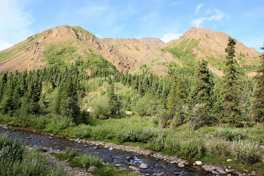 Joy of Discovery: Toklat, Denali National Park