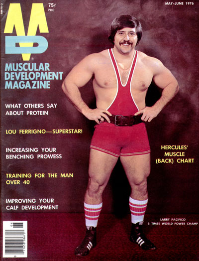 Big Monster: Entrevista com Larry Pacifico