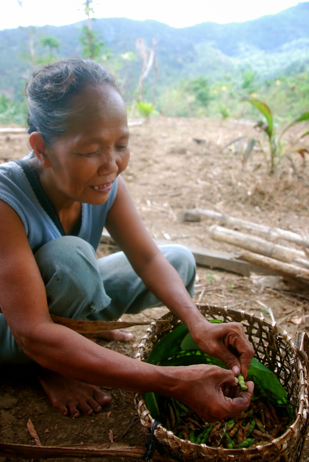 Smooth Escape: Buhid farming