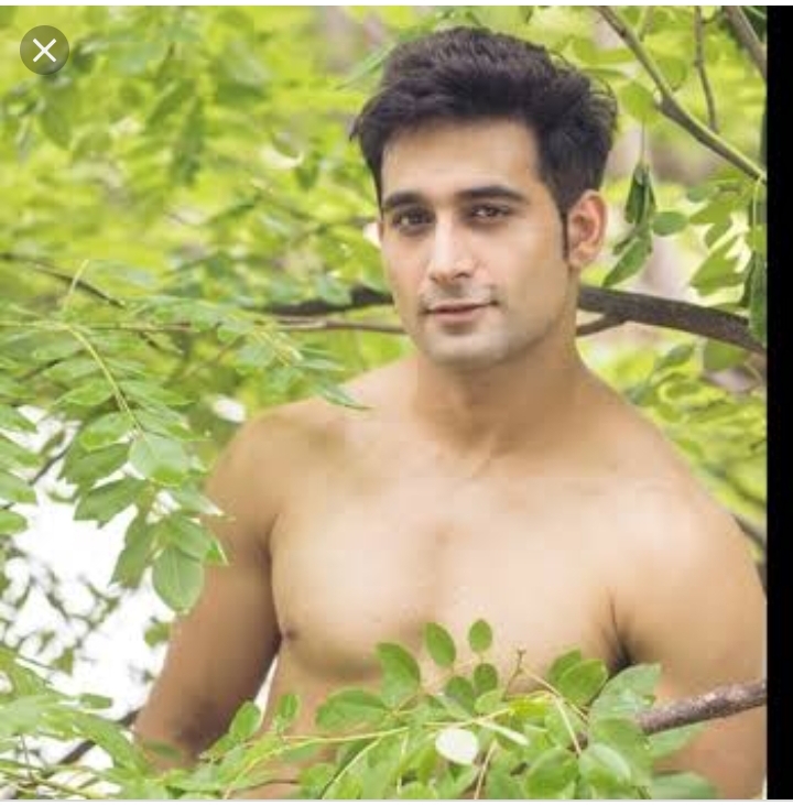 Los Ojos del Espectador: Vikas Grover actor Hindu